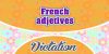 French Adjectives (Sentences) - French Circles