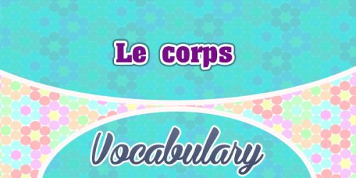 Le corps - The body - French Circles