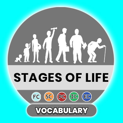 Les étapes de la vie - The stages of life - French Circles
