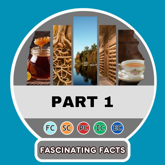 Readings - French Circles