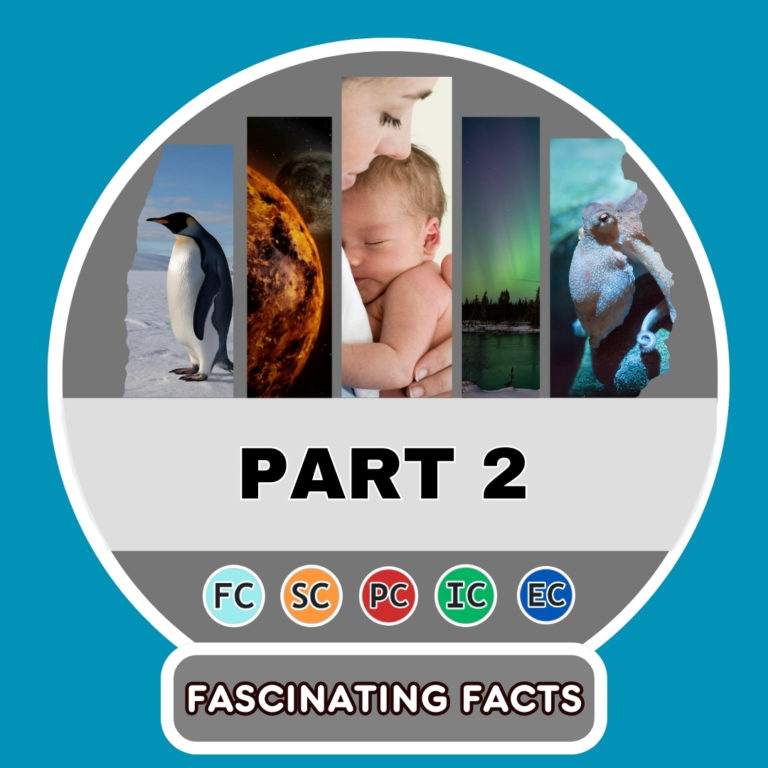 Online Free French Tests - French Circles