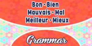 Bon / Bien / Mauvais / Mal / Meilleur / Mieux - French Circles
